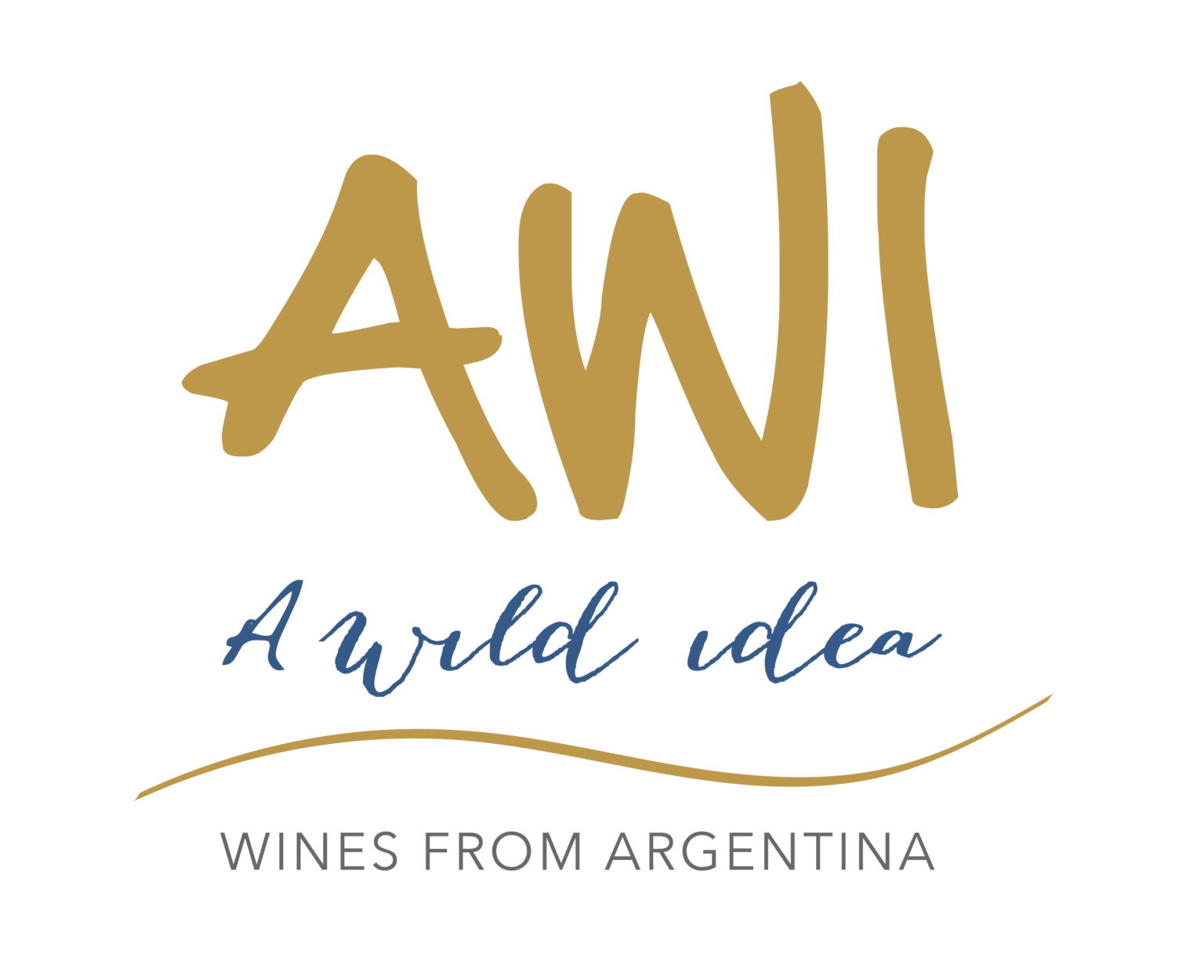 Welcome to Dallas Fashion Week